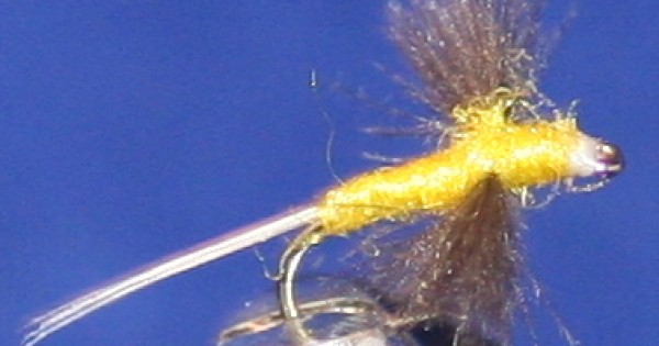 CDC Yellow Spinner