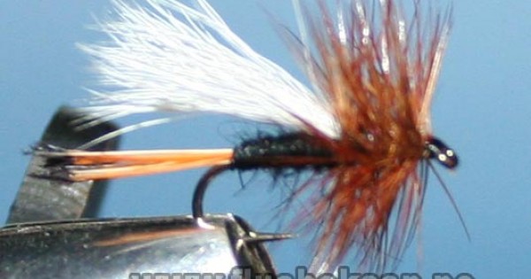 Trude - Rio Grande King